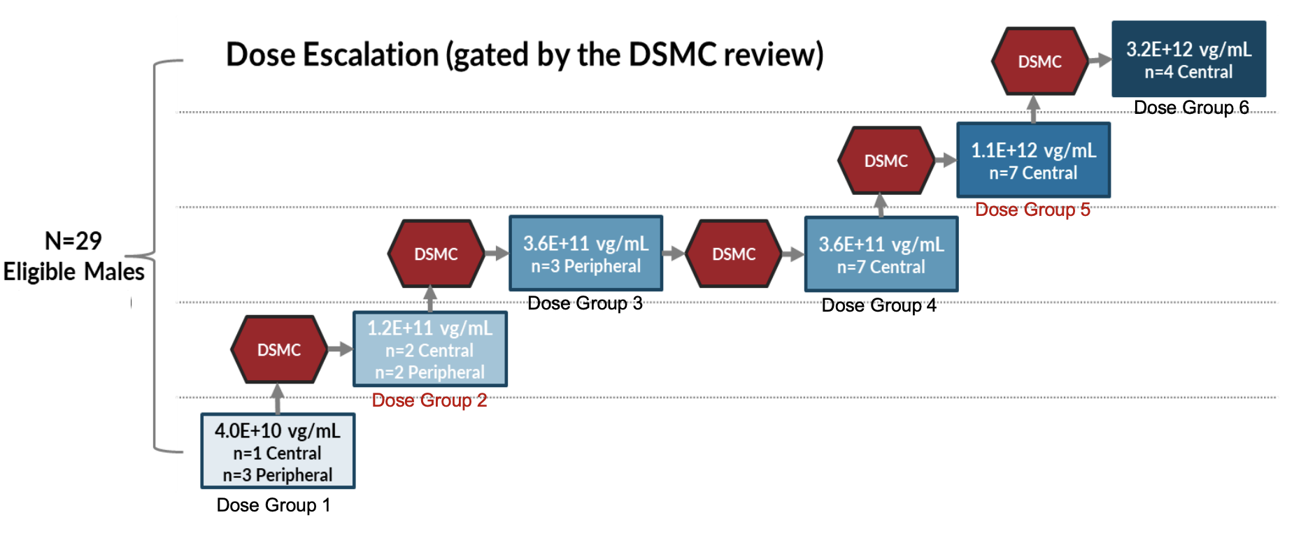 Subretinal Gene Therapy Drug laru-zova (AGTC-501) for X-Linked ...